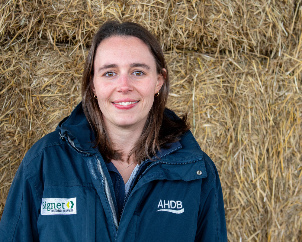 AHDB contacts | AHDB