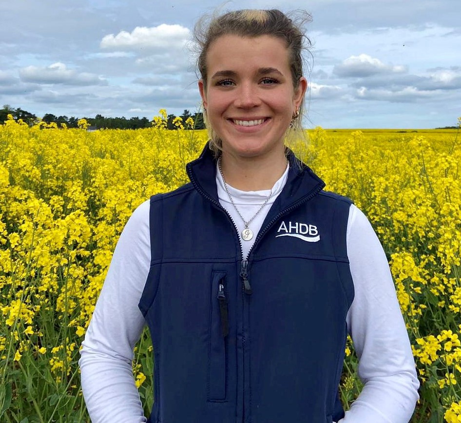 Cereals & Oilseeds: Summer 2022 | AHDB
