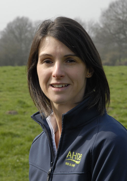 The environment: farming and agriculture | AHDB