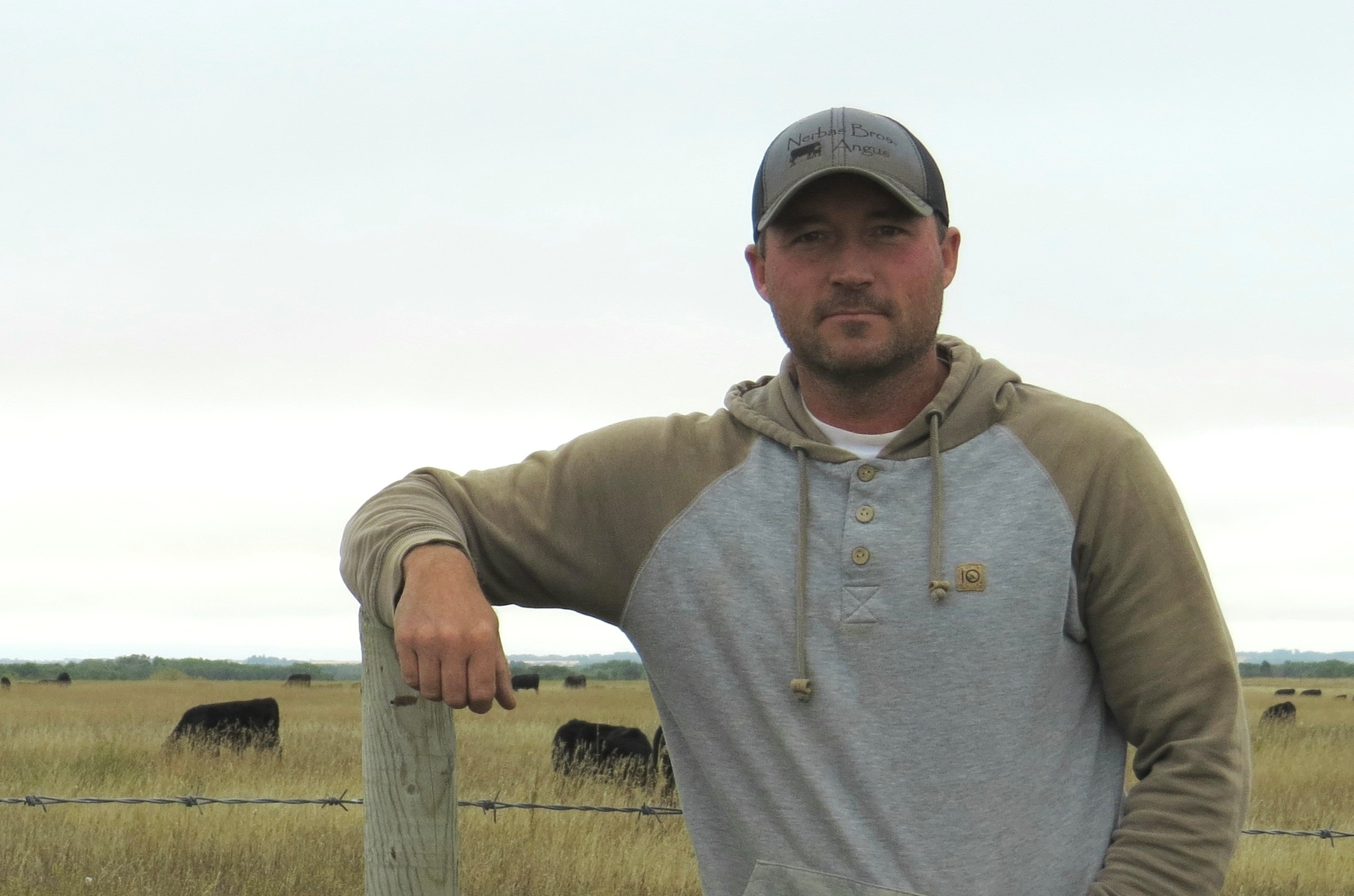 Sustainable suckler cow production - a Canadian perspective | AHDB