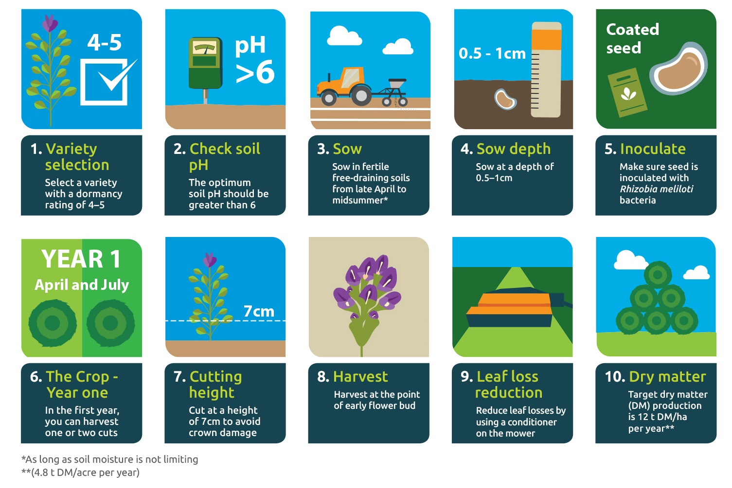 Growing and feeding lucerne | AHDB