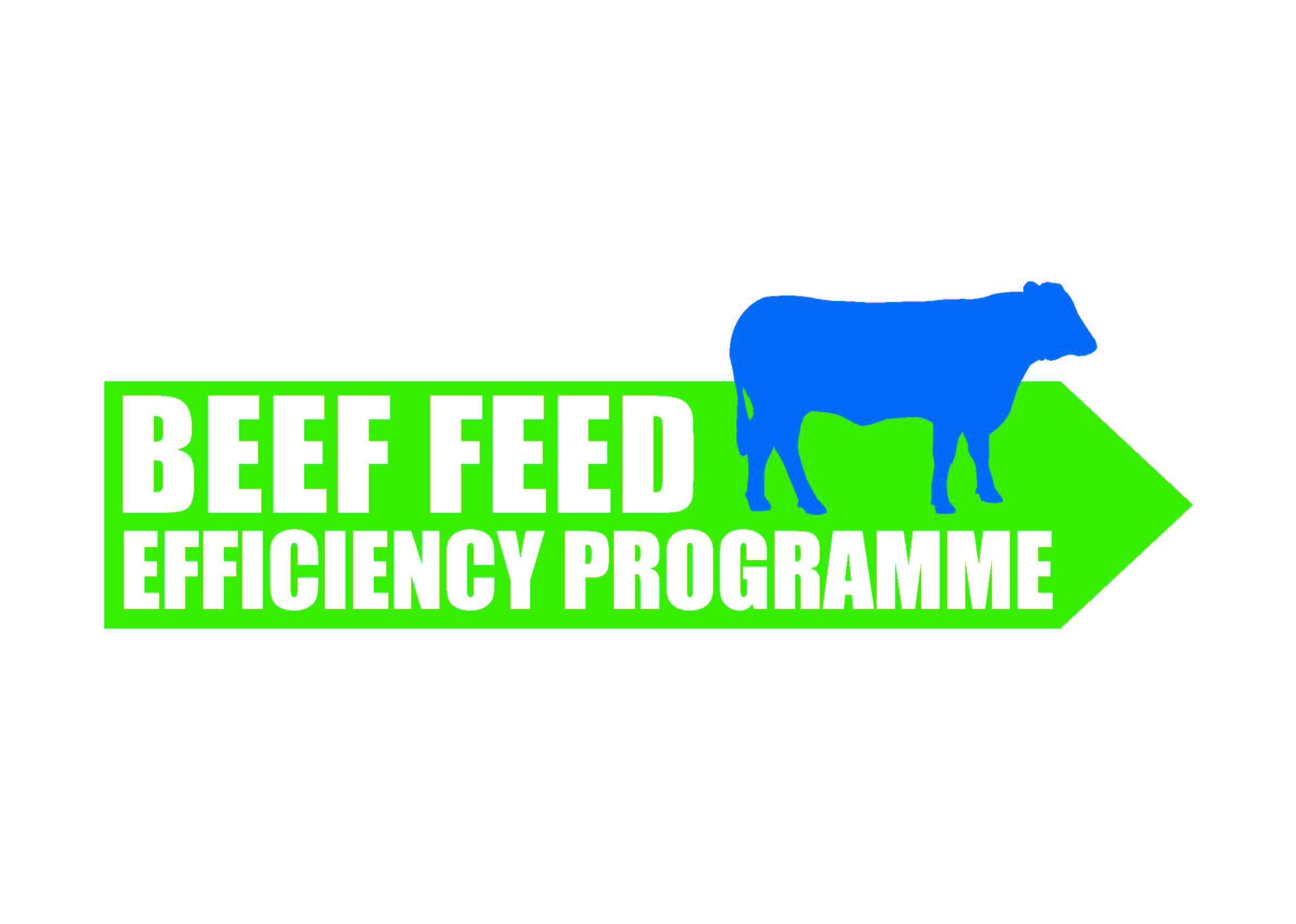 Beef feed efficiency programme | AHDB