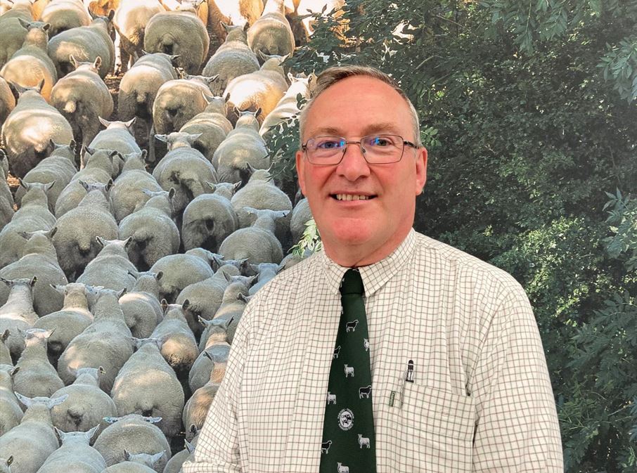 Blog: Creating a robust strategy during this crucial phase in the ...