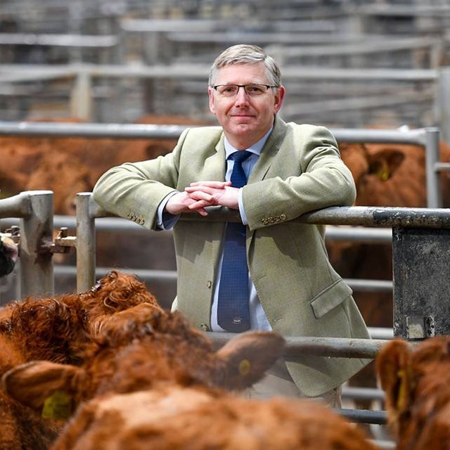 AHDB Beef & Lamb Council | AHDB