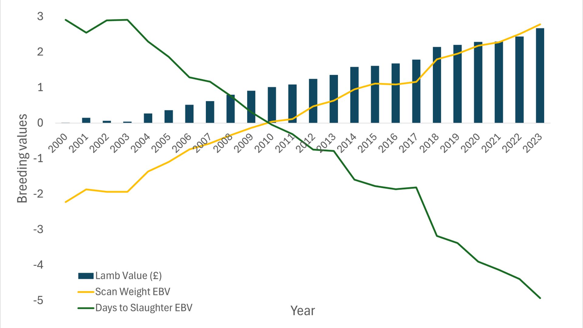 Dorset sheep breeders take carcase traits to a new level | AHDB