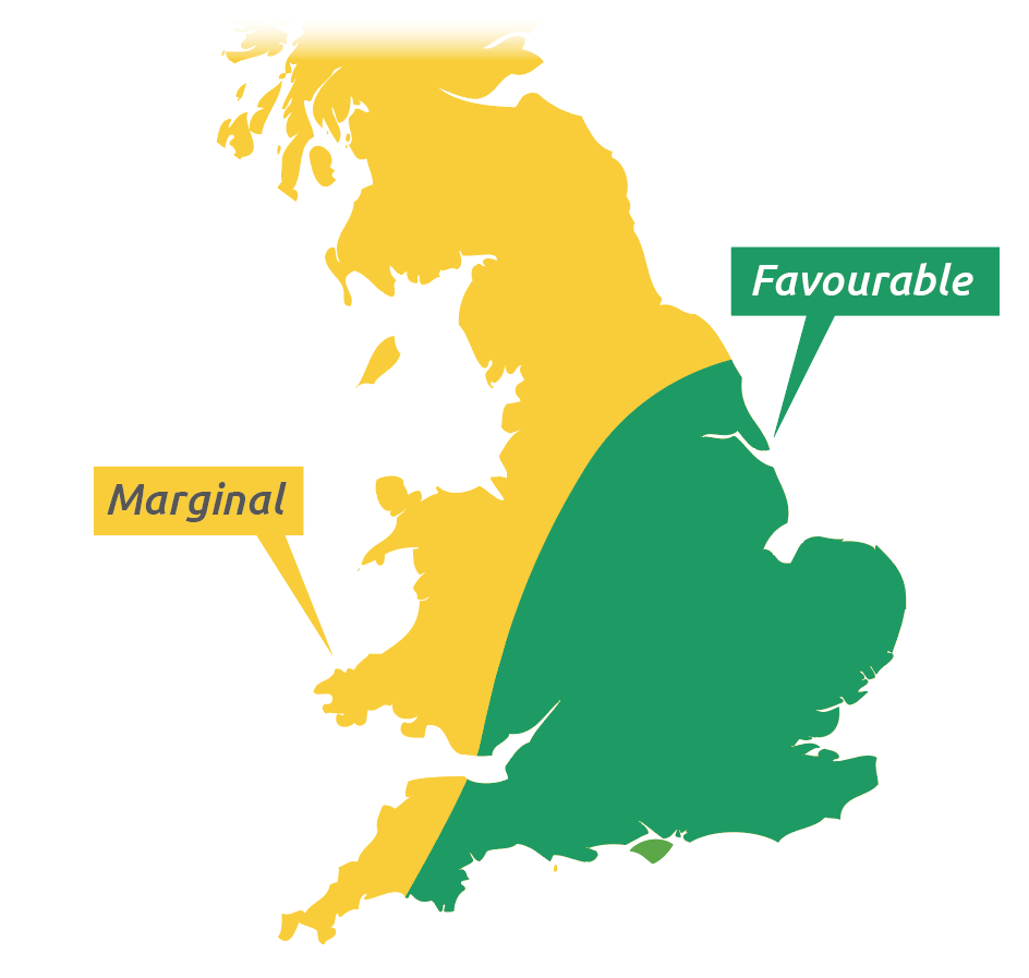 Where to grow maize | AHDB