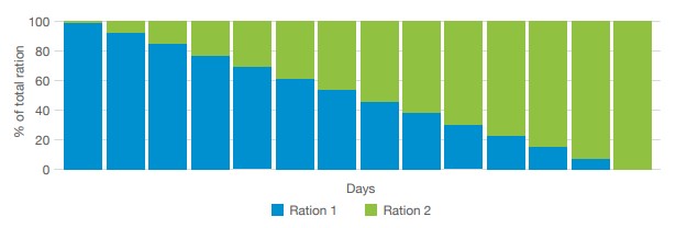 Nutritional guidance for dairy beef calves | AHDB