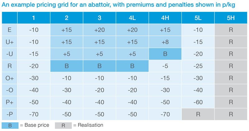 Beef cattle: Understanding how each abattoir works | AHDB