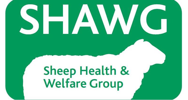 Sheep Health and Welfare Group (SHAWG) | AHDB