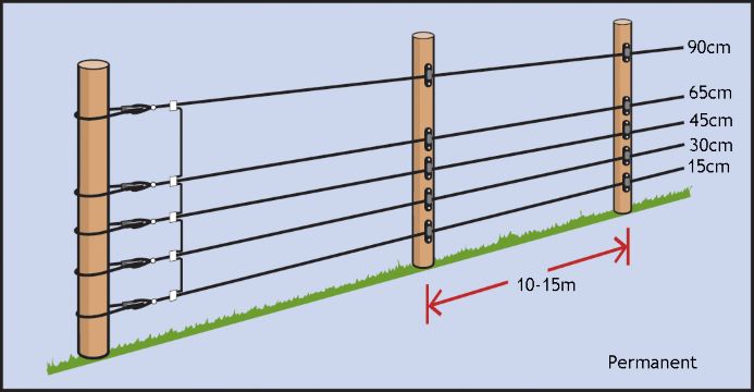 How to set up electric fencing for cattle and sheep | AHDB