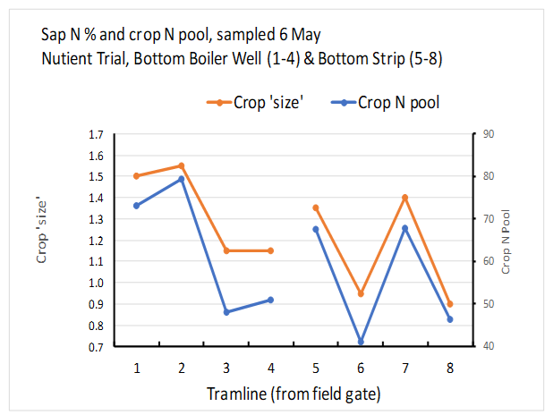 Nut Trial May Crop N Size | AHDB