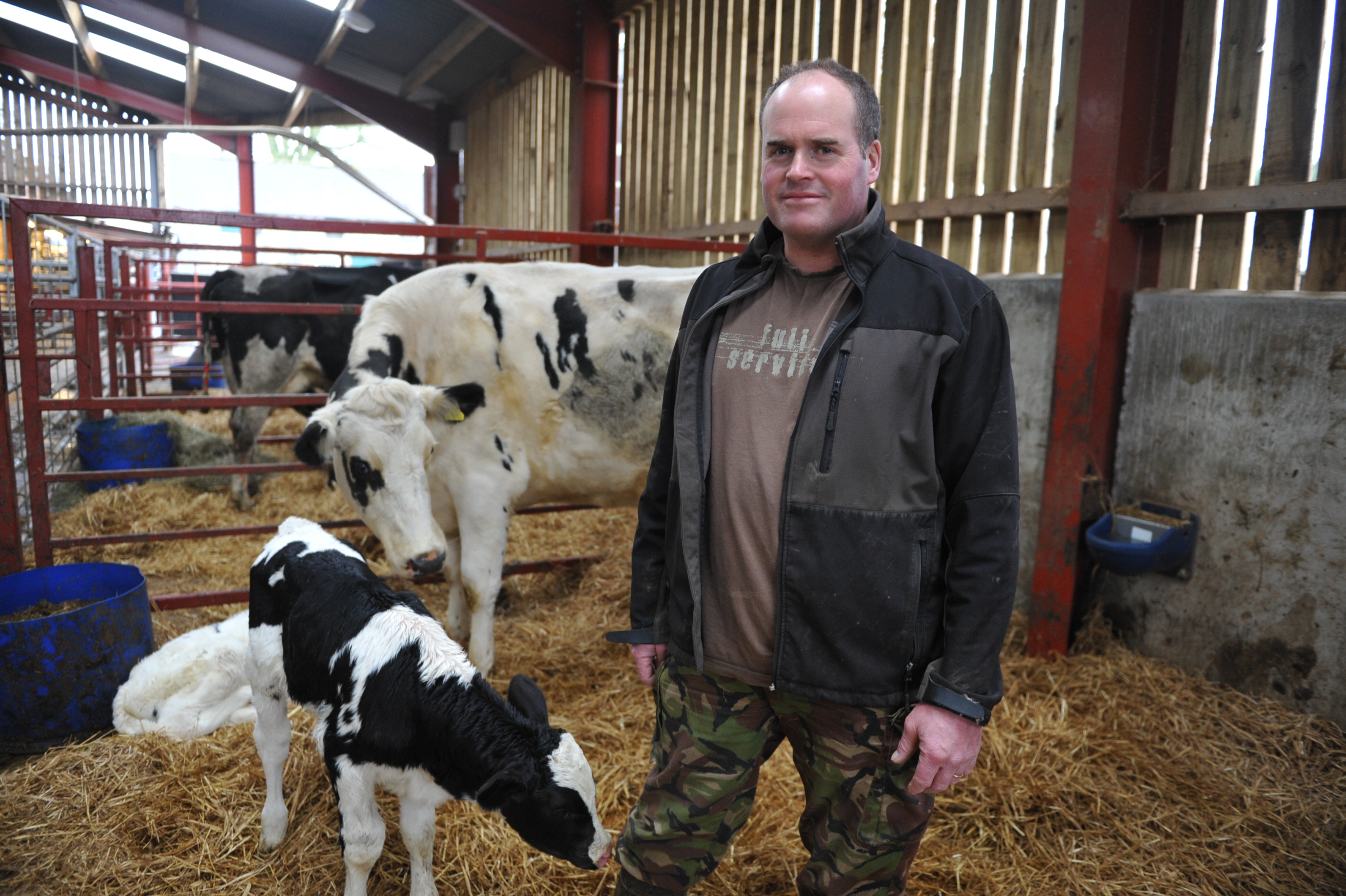 Transition cow management | AHDB