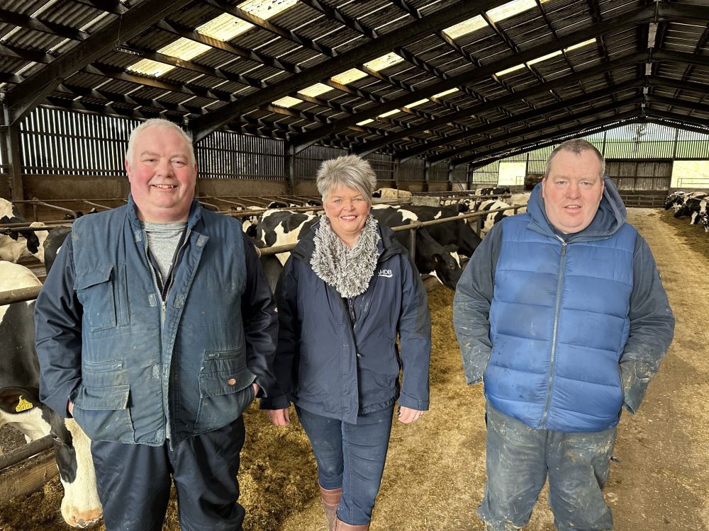 Drum Farm hosts workshops to improve breeding decisions and herd ...