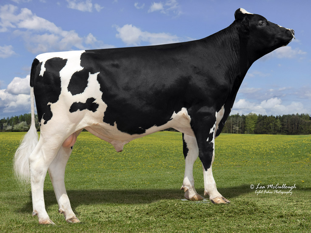 BOMAZ ALTATOPSHOT-ET-1 | AHDB