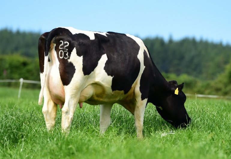Small reshuffle for Friesians and stability for Jersey and Ayrshire ...