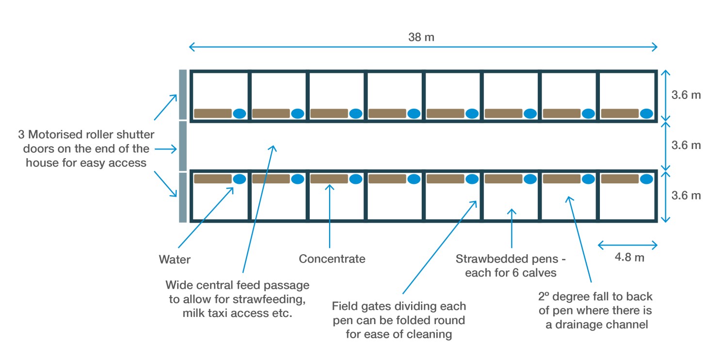 Youngstock housing case study – Eldon Farm | AHDB