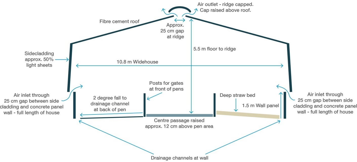 Youngstock housing case study – Eldon Farm | AHDB