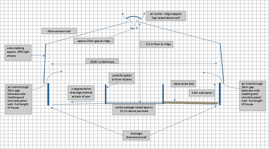 Youngstock housing case study – Eldon Farm | AHDB