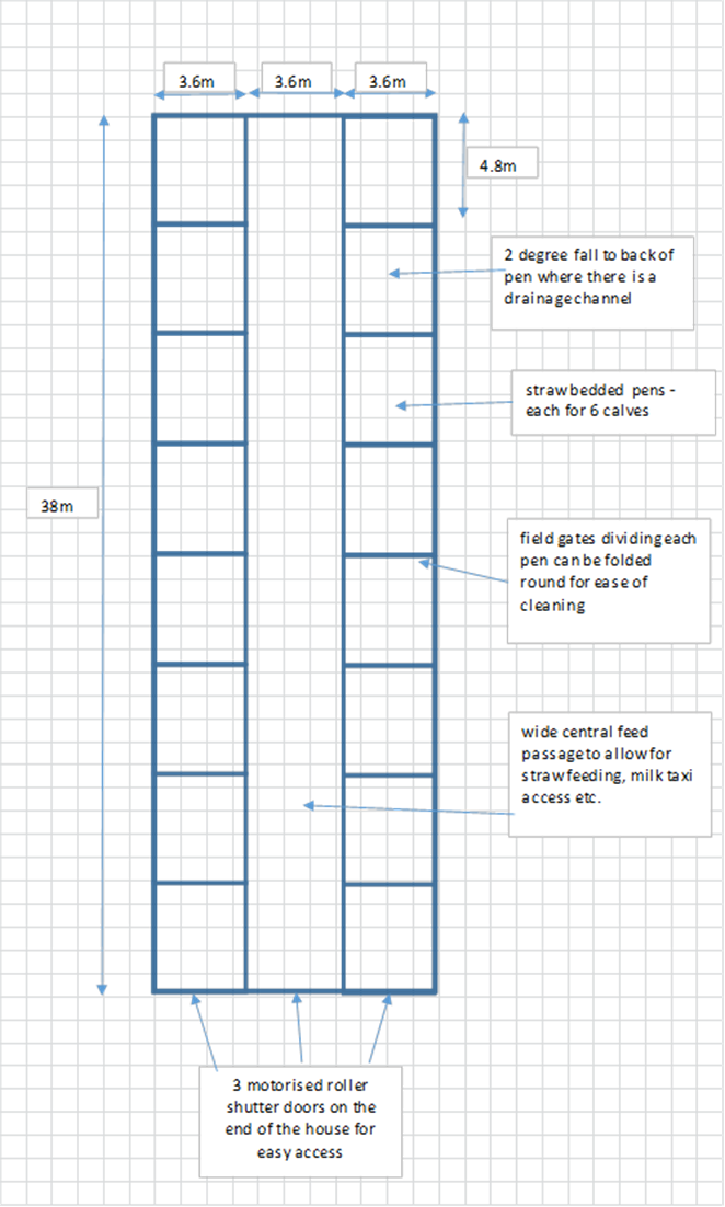 Youngstock housing case study – Eldon Farm | AHDB
