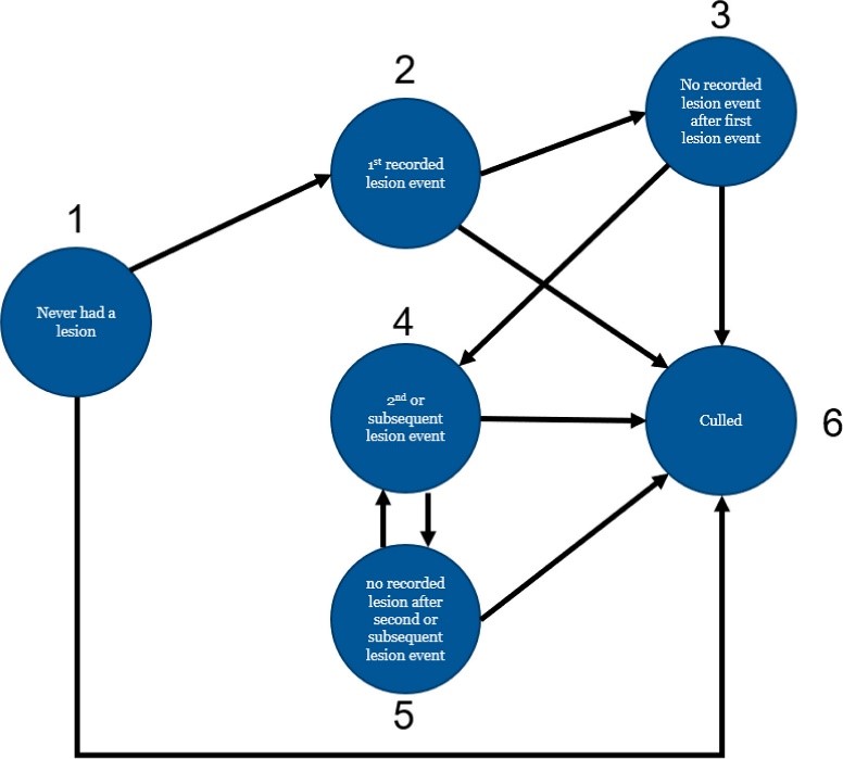 Research bites: When modelling takes on a new meaning | AHDB