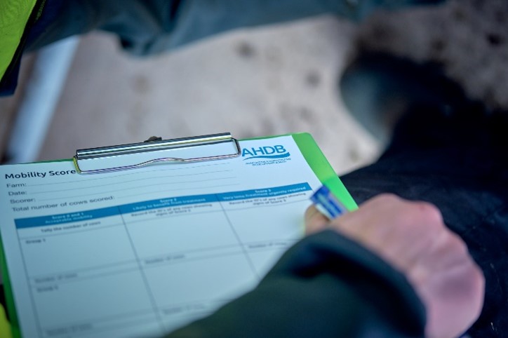 AHDB foot health resources | AHDB