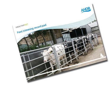 AHDB foot health resources | AHDB