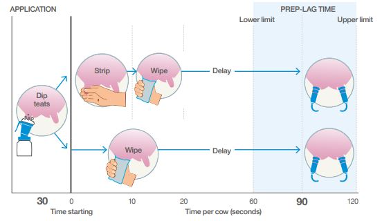 Dairy cow milking: milking routines | AHDB