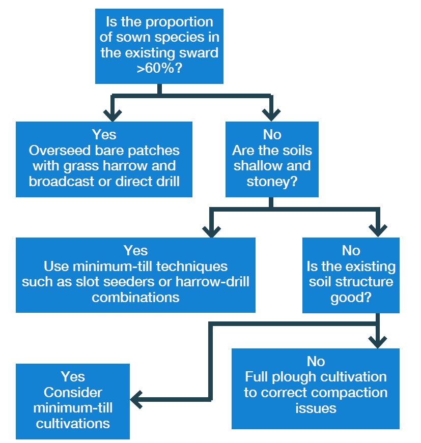 Grassland reseeding: establishment methods | AHDB
