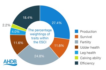 Fine-tuning cows for a grazing based system | AHDB
