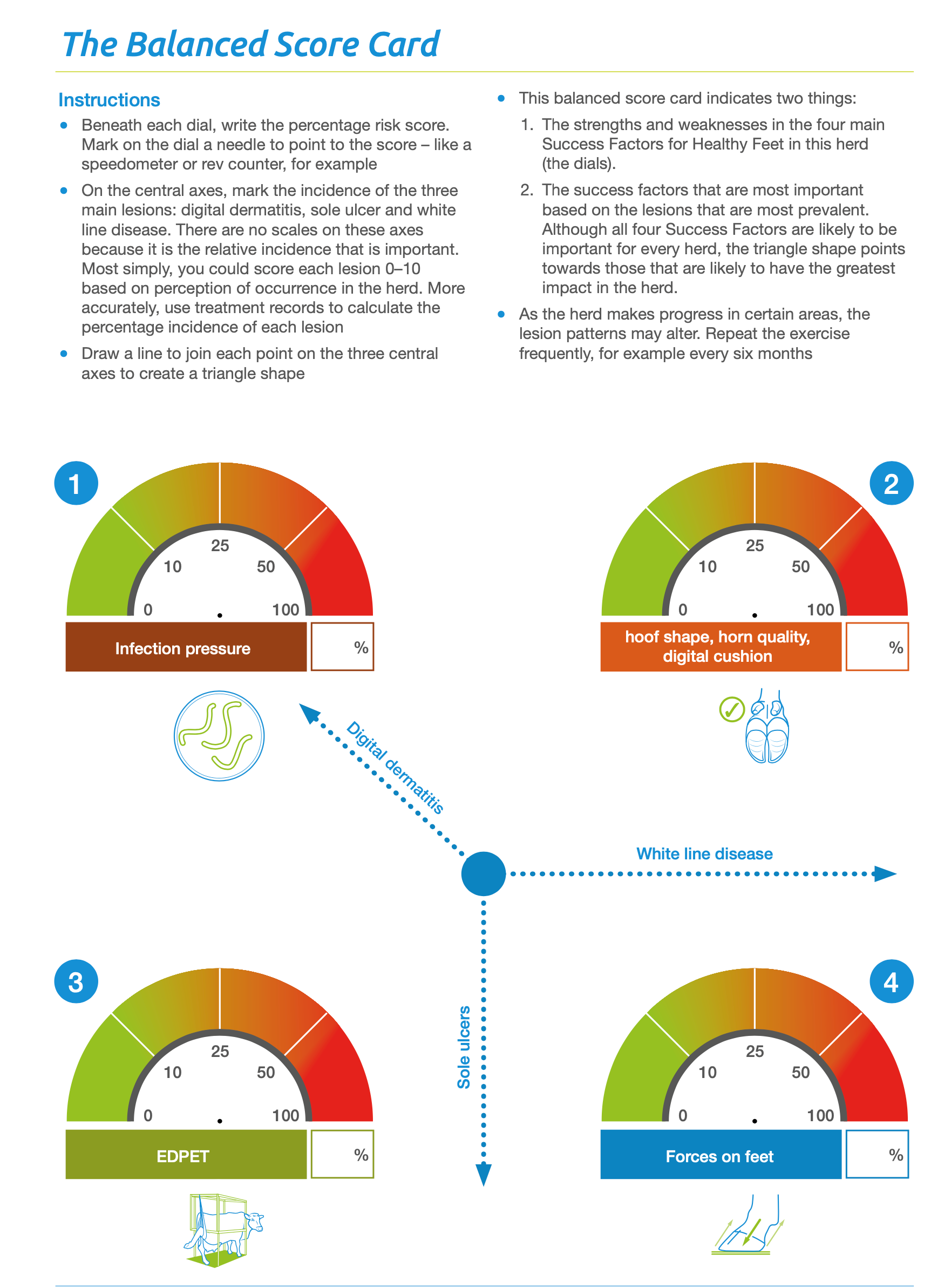 New Healthy Feet Programme Risk Assessment Tool | AHDB