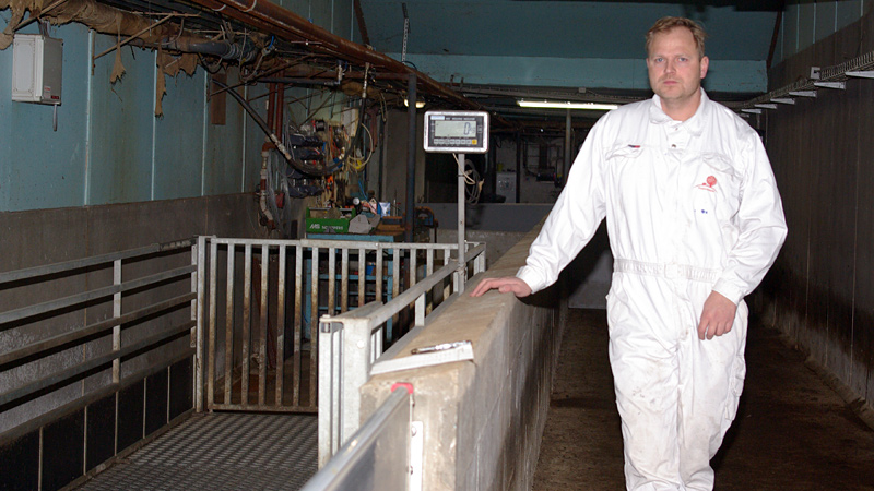 EU PiG – Routine weighing for accurate feeding | AHDB