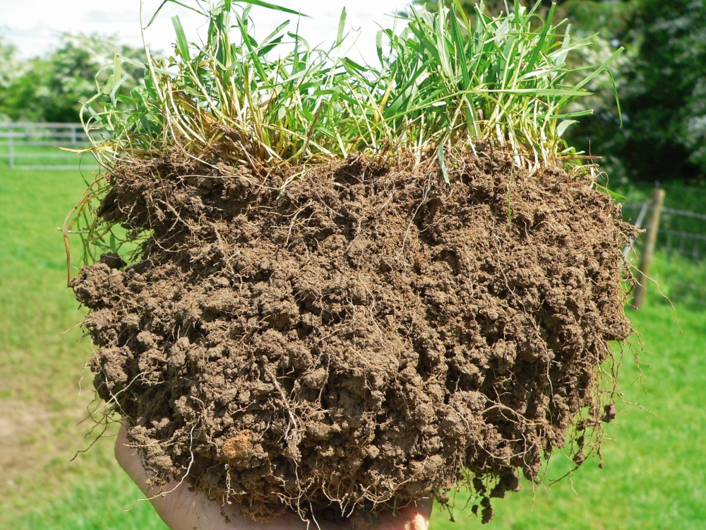 Soil porosity and structure | AHDB