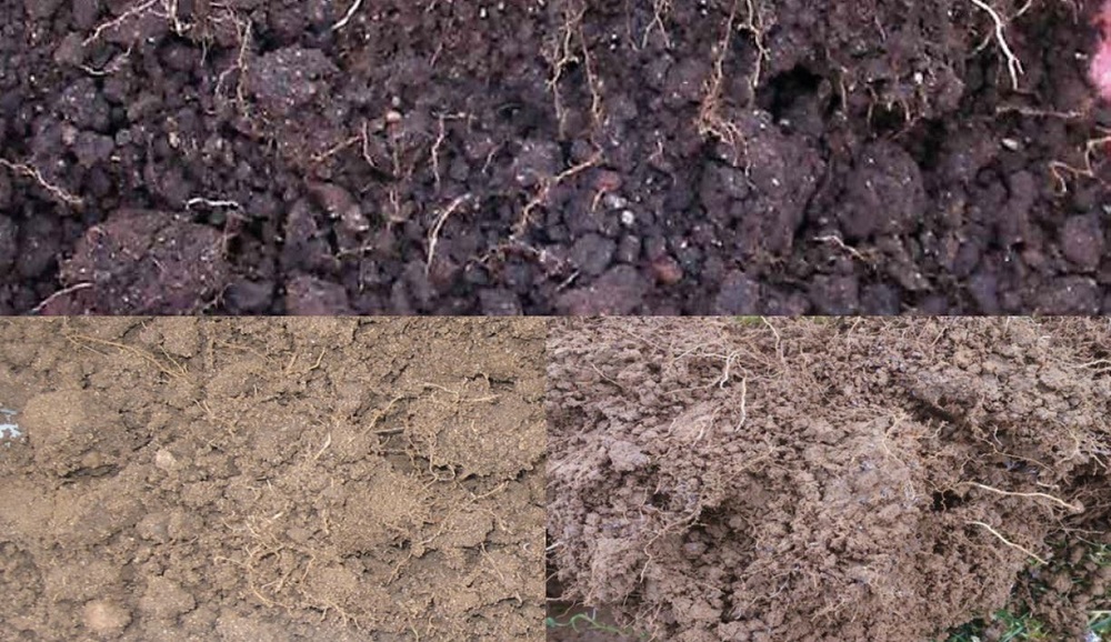 How to assess soil structure | AHDB