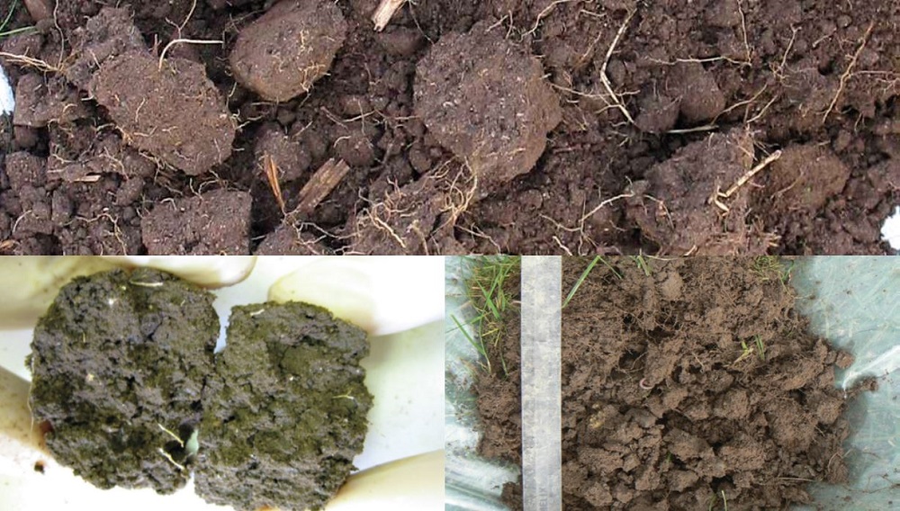 How to assess soil structure | AHDB