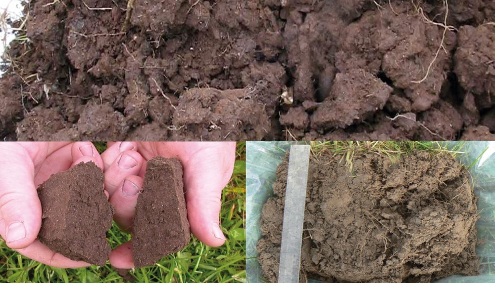 How to assess soil structure | AHDB