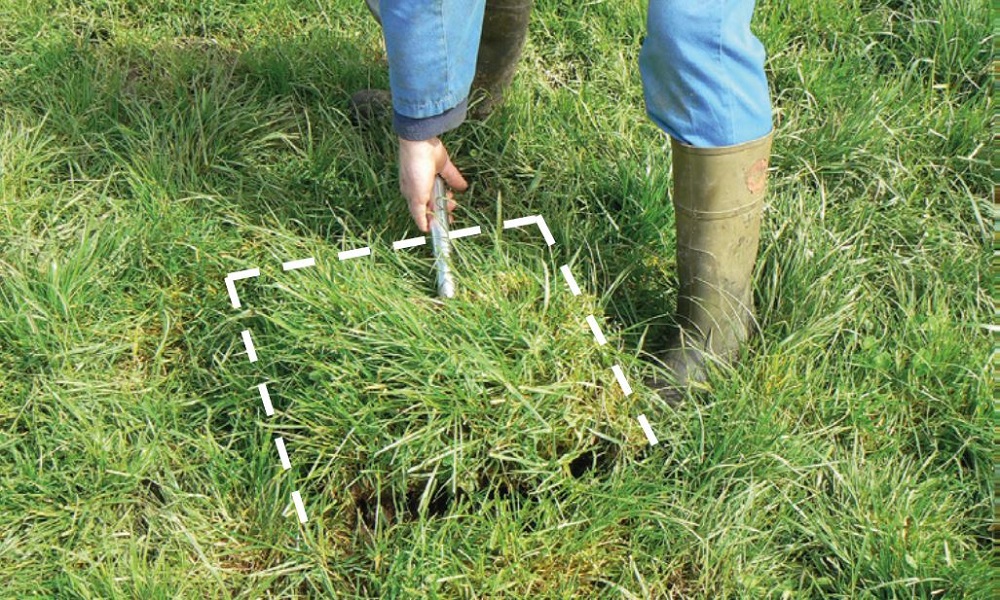 How to assess soil structure | AHDB