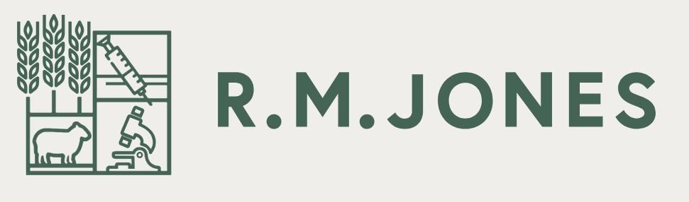 Sheep post-mortem evening | AHDB