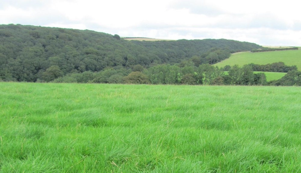 Try the spring rotation planner to maximise spring grass intakes | AHDB