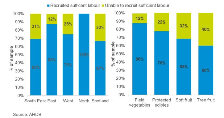 Horticulture Labour Barometer | AHDB