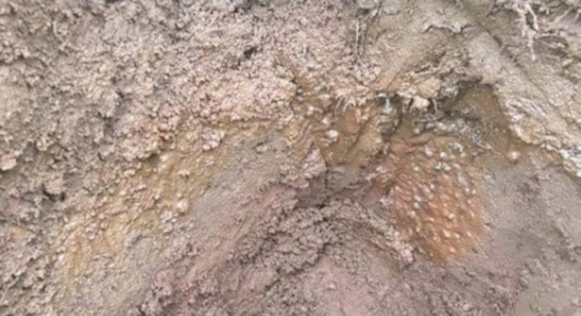 Soil compaction from machinery | AHDB