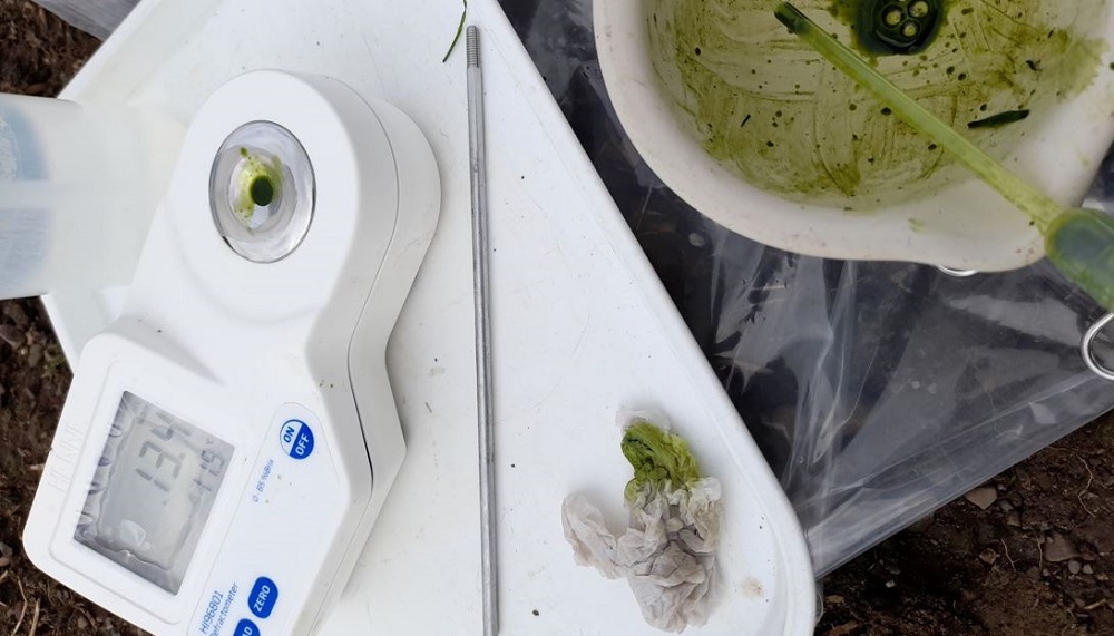 Strategic Cereal Farm Scotland | AHDB