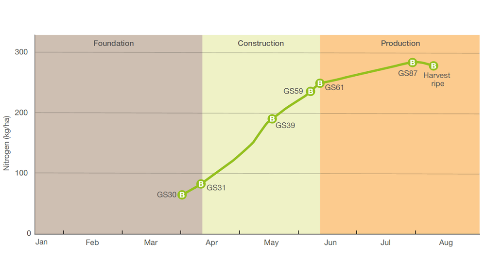 Nitrogen supply, demand and utilisation in winter wheat | AHDB