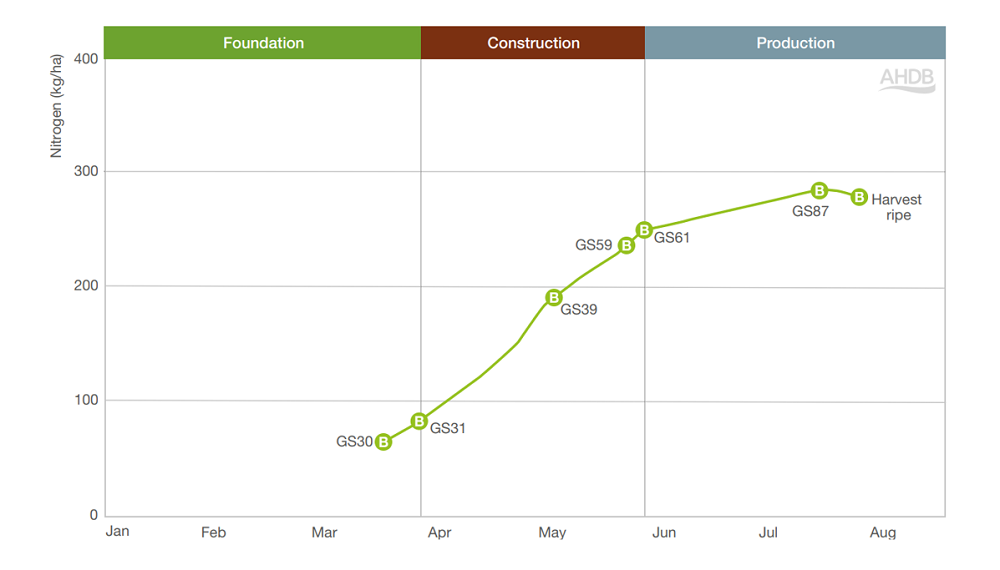 Nitrogen supply, demand and utilisation in winter wheat | AHDB