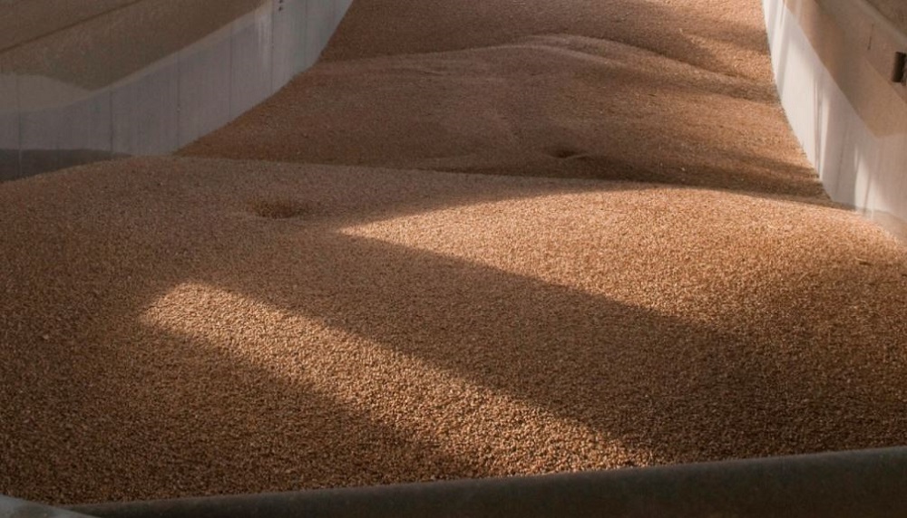 The main components of yield in wheat | AHDB