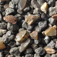 Inspecting grain for defects and impurities | AHDB