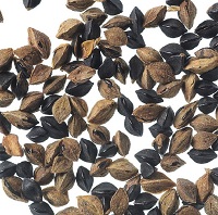 Inspecting grain for defects and impurities | AHDB