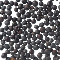 Inspecting grain for defects and impurities | AHDB