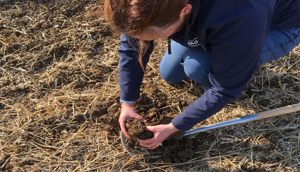 How to assess soil structure | AHDB