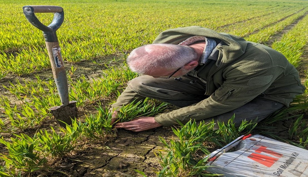 Wet season fails to dampen strategic cereal farmer spirits | AHDB
