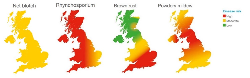 Variety selection tool for winter barley | AHDB